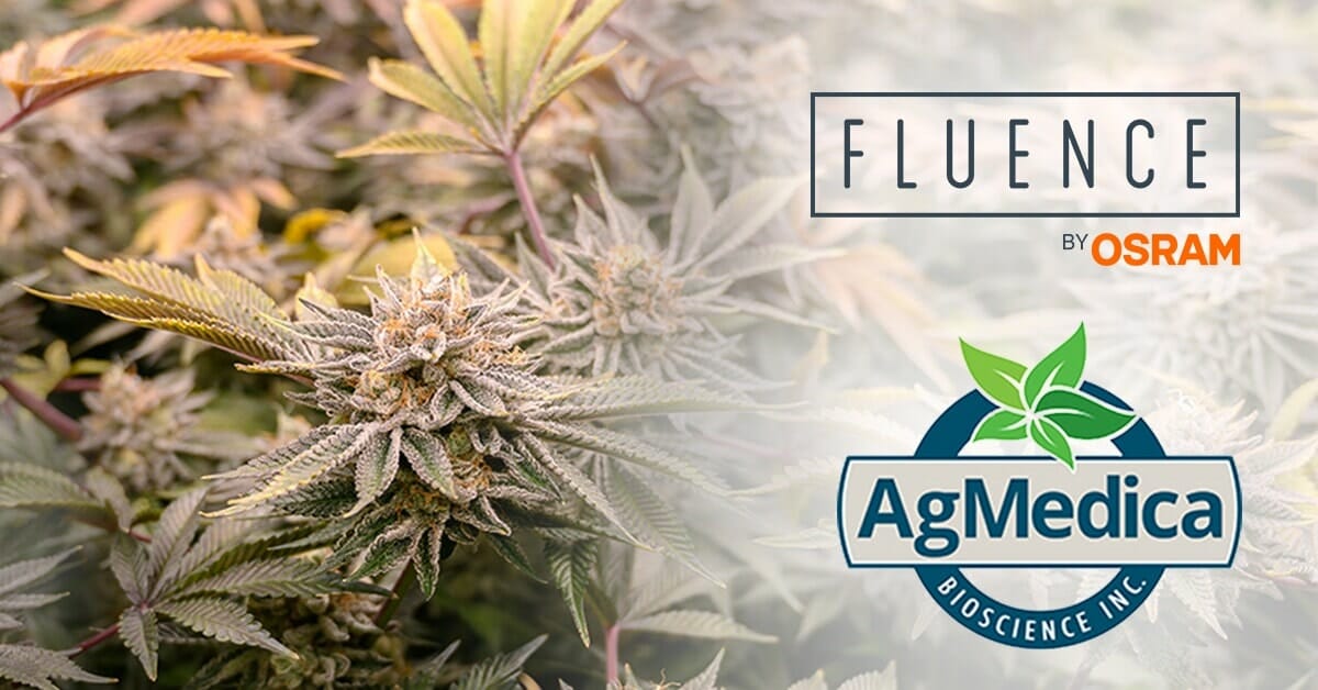 Fluence Partners With AgMedica on Exclusive LED Deal