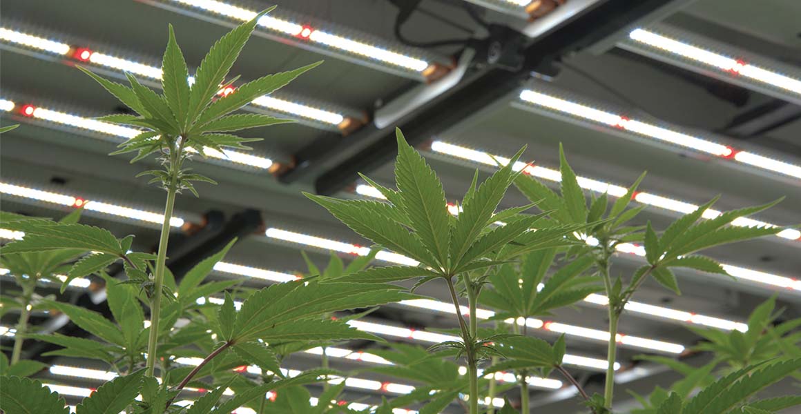 Control Heat with Fluence LED Systems