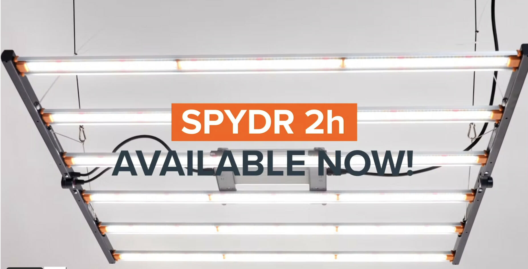 Fluence SPYDR 2h Helps Cannabis Growers Increase Yields