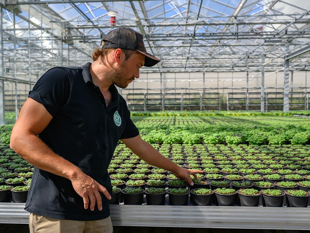 ECF Farmsystems Powers Aquaponics with Fluence LEDs