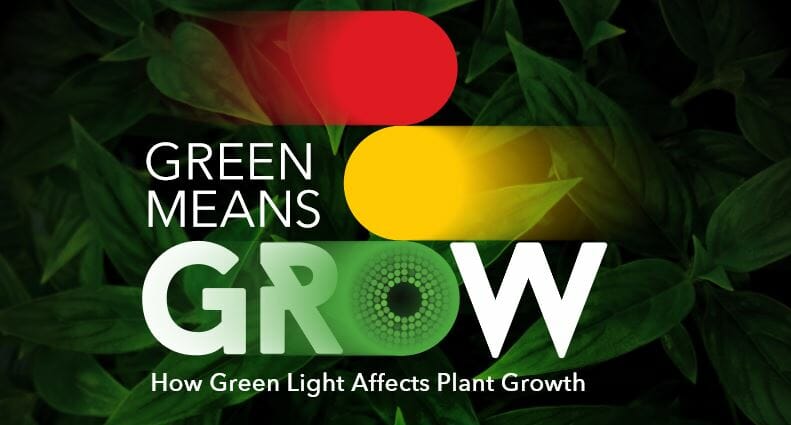 Why Green Light Matters for Plant Growth