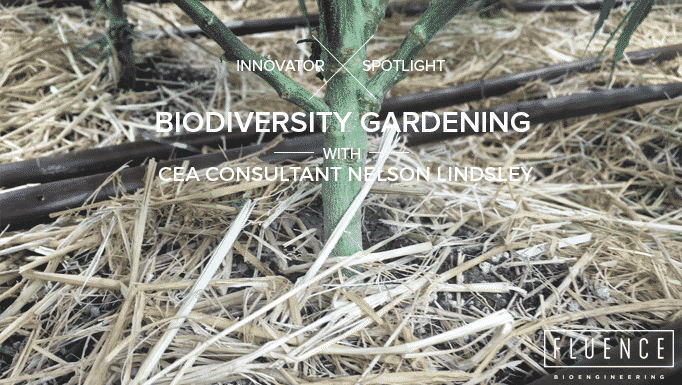 Spotlight on Innovation: Biodiversity Gardening