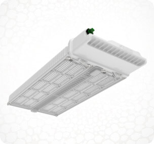RAPTR Series: Powerful LED Lights for Dense Grow Spaces