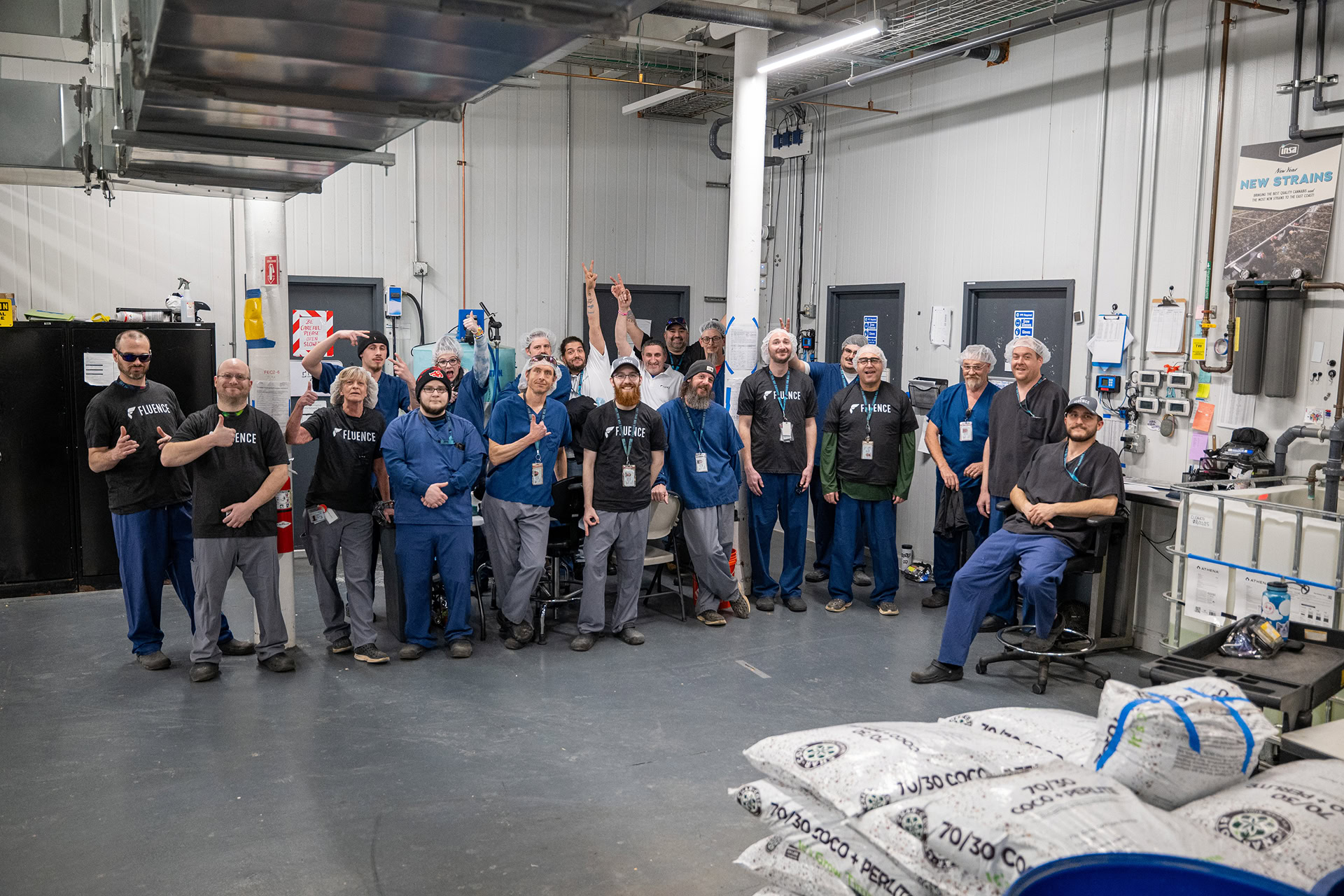 Insa Achieves Exceptional Yields with Fluence LED Technology - Fluence